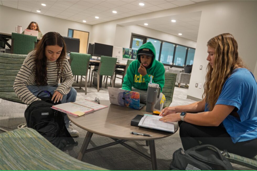The Learning Commons @ Hoover Library - Reaching New Heights